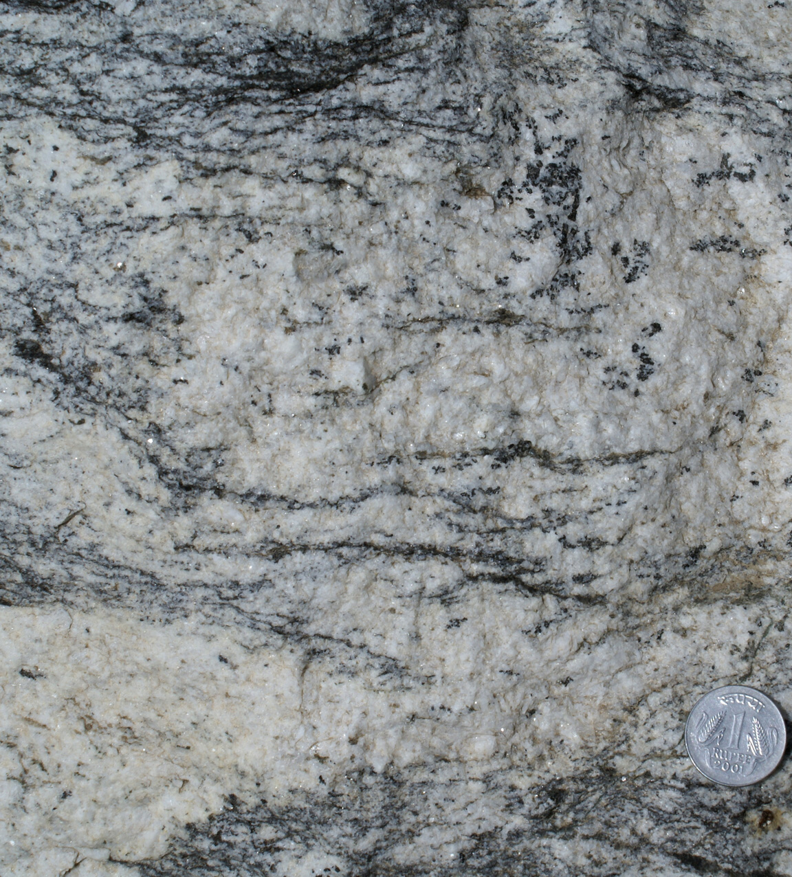 Migmatites of the Reru Valley, High Himalayan Crystalline