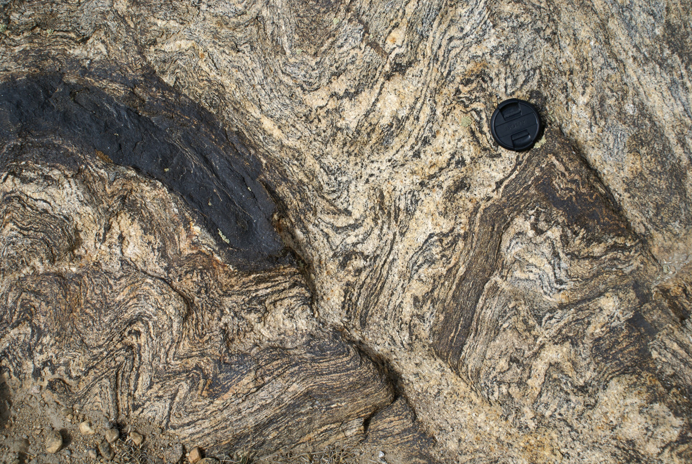 Migmatites of the Reru Valley, High Himalayan Crystalline