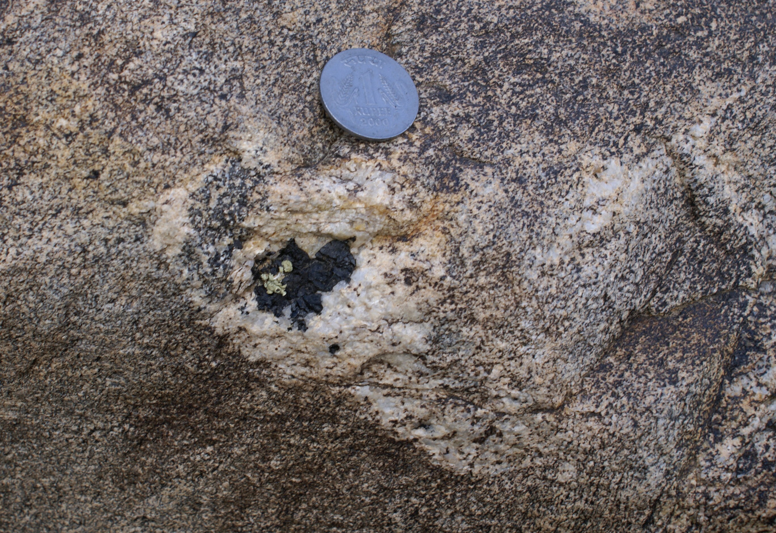 Migmatites of the Reru Valley, High Himalayan Crystalline